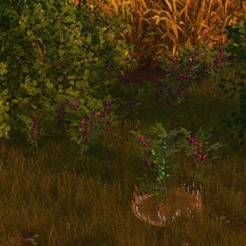 Stranded: Alien Dawn – Resources – Lars Bodin