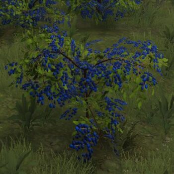 Stranded: Alien Dawn – Resources – Lars Bodin