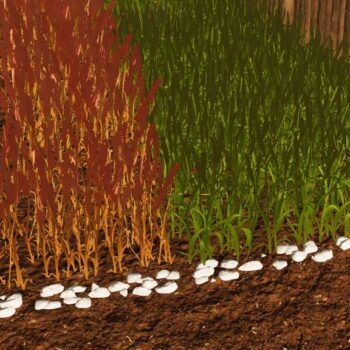 Stranded: Alien Dawn – Resources – Lars Bodin